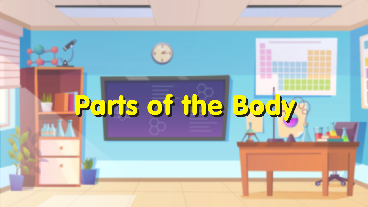 Parts of the Body - Abiva Digital
