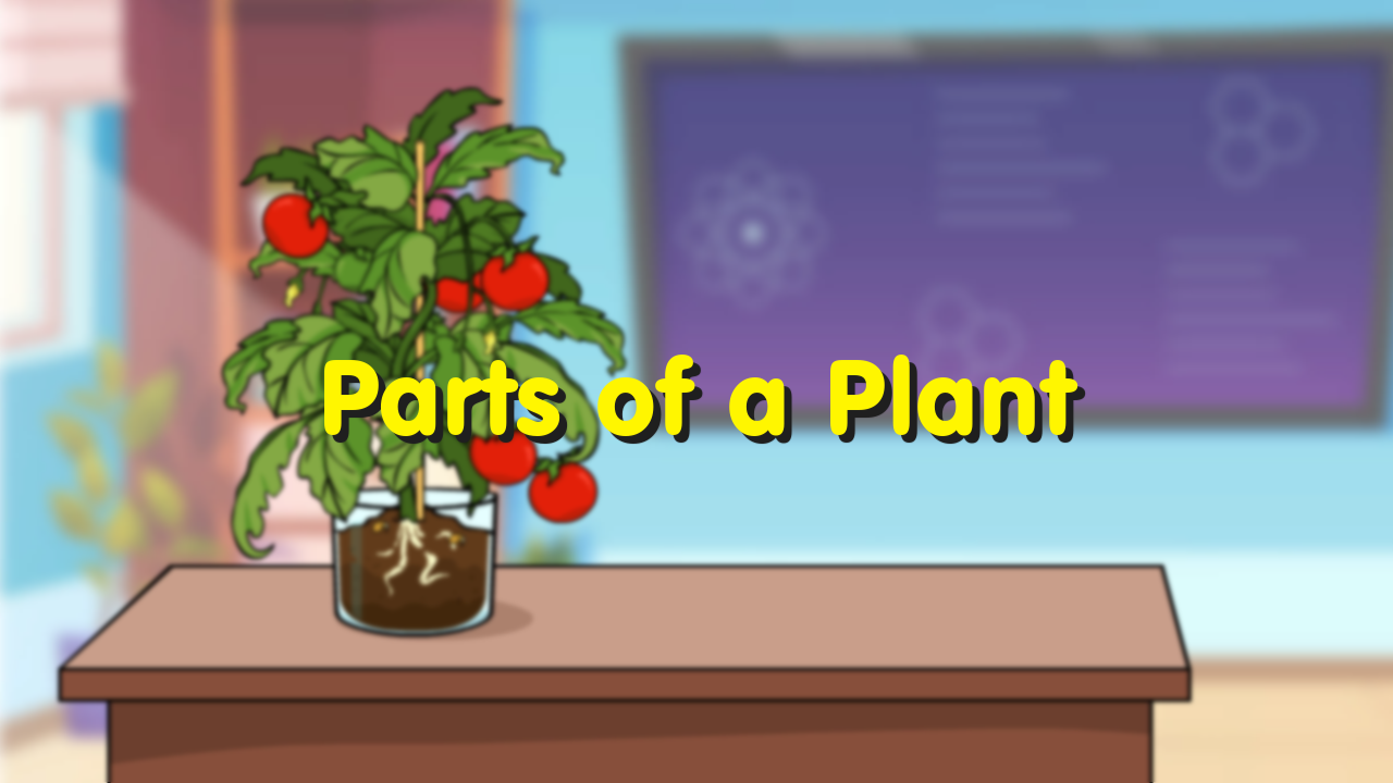 Parts of a Plant - Abiva Digital