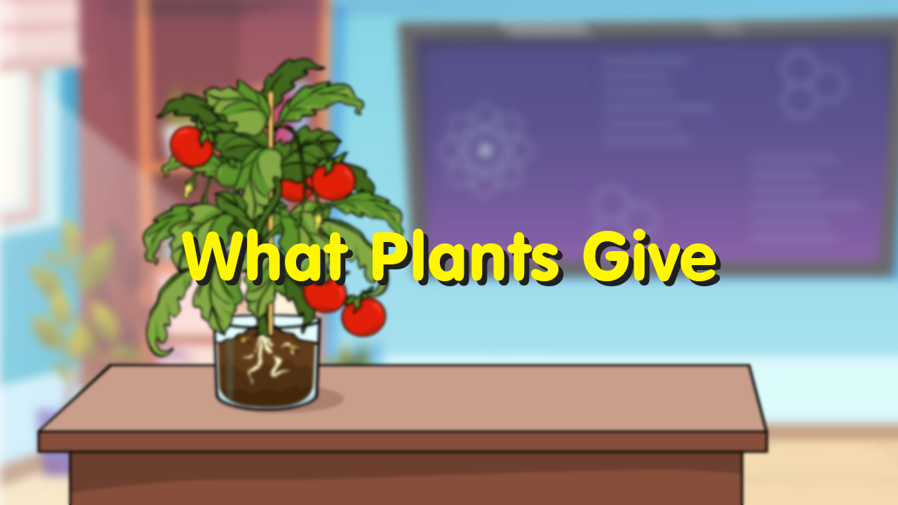 What Plants Give - Abiva Digital