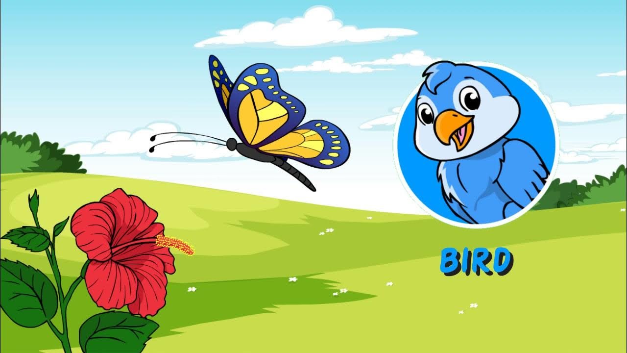 Movements of Animals - Abiva Digital