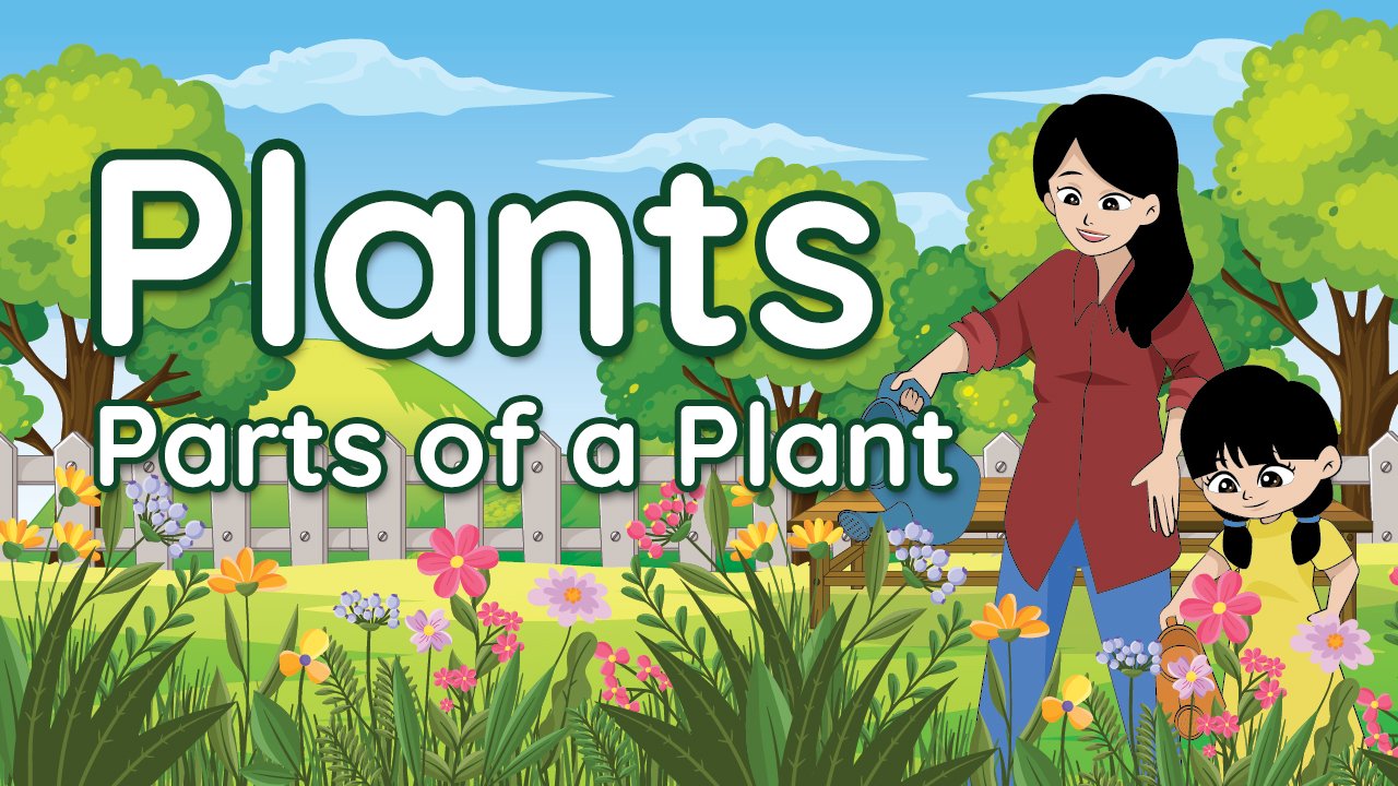 Parts of a Plant - Abiva Digital