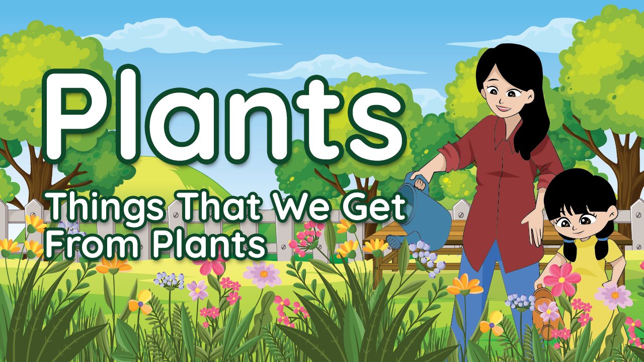 Things That We Get From Plants - Abiva Digital