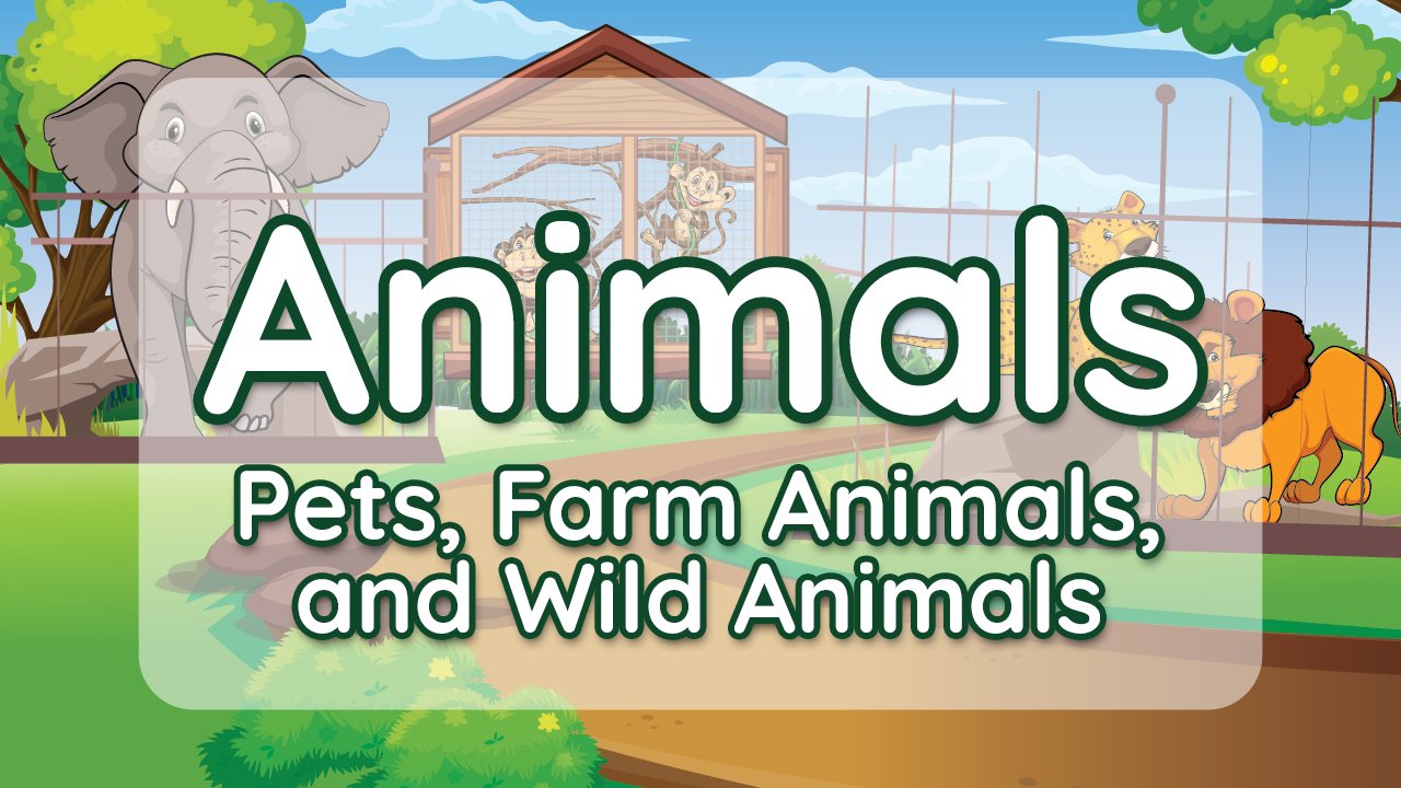 Pets, Farm Animals, and Wild Animals - Abiva Digital