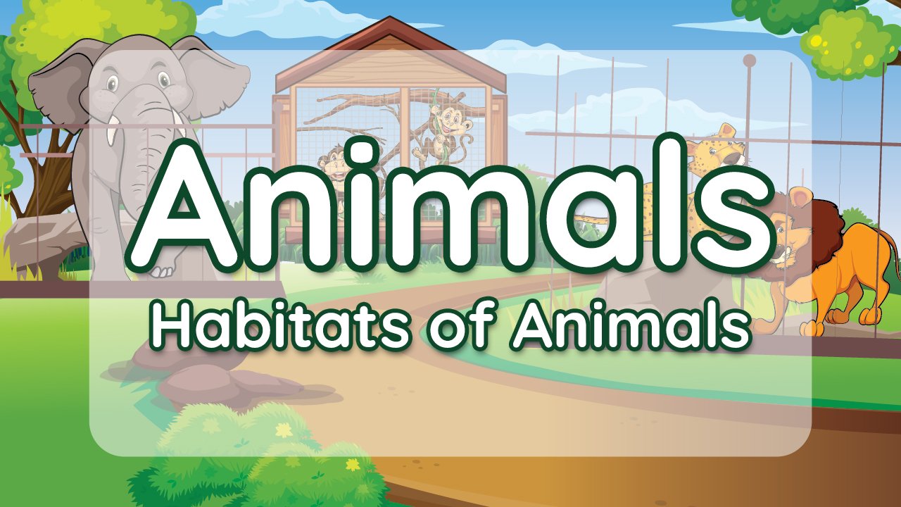 Habitats of Animals 3 - Abiva Digital