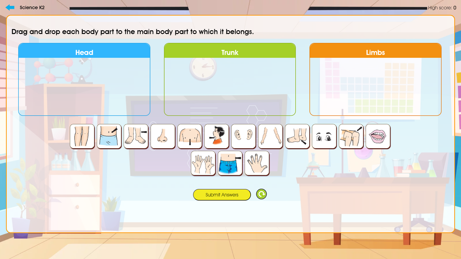 Parts of the Body - Abiva Digital