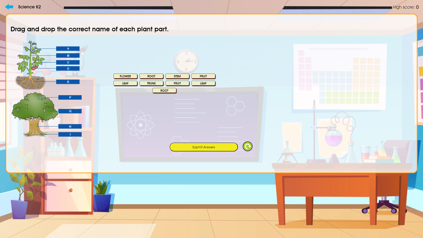 Parts of a Plant - Abiva Digital