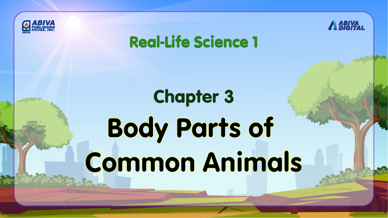 Body Parts of Common Animals - Abiva Digital