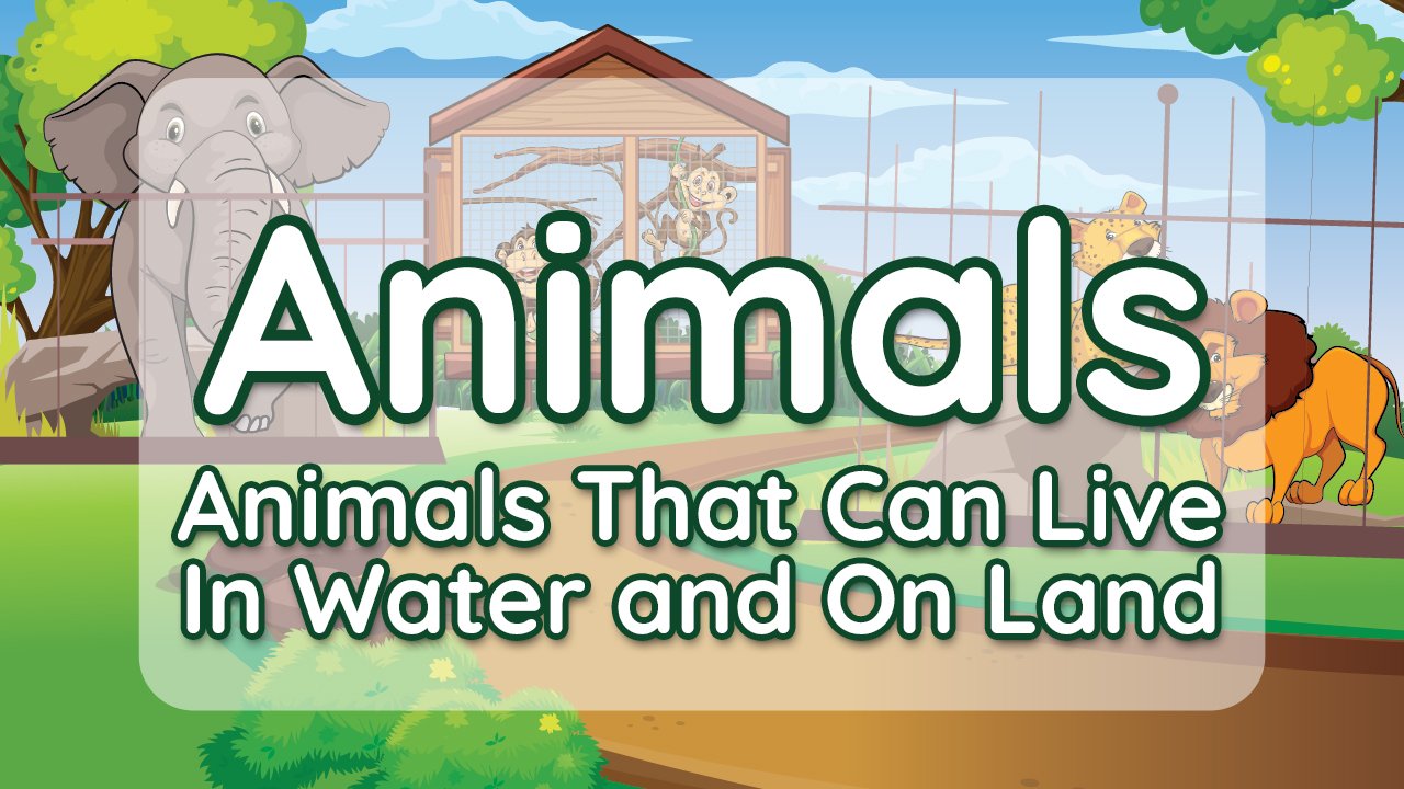 Animals That Can Live In Water and On Land - Abiva Digital