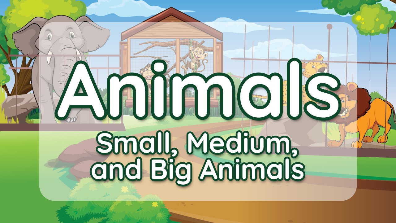 Small, Medium, and Big Animals - Abiva Digital