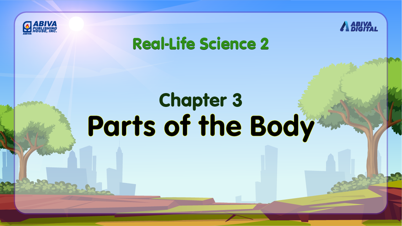 Parts of the Body - Abiva Digital