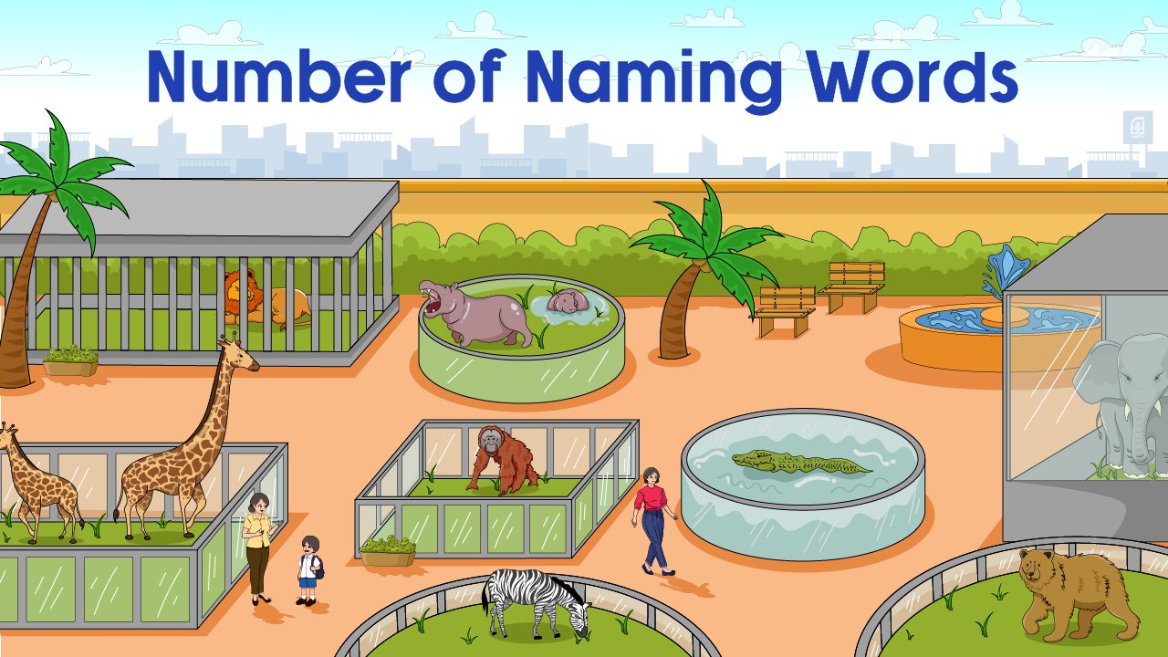 Numbers of Naming Words - Abiva Digital
