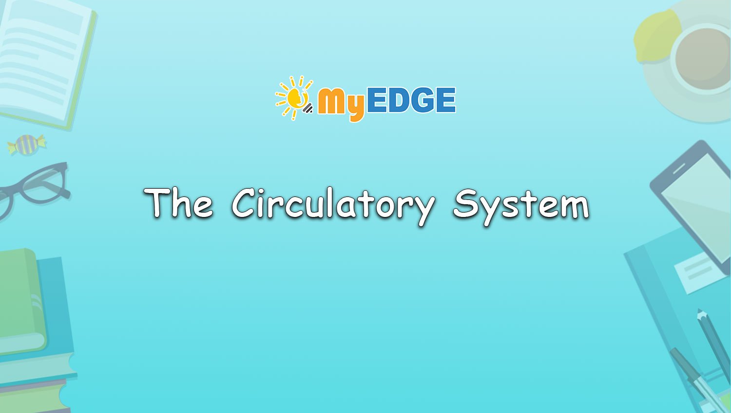 The Circulatory System - Abiva Digital