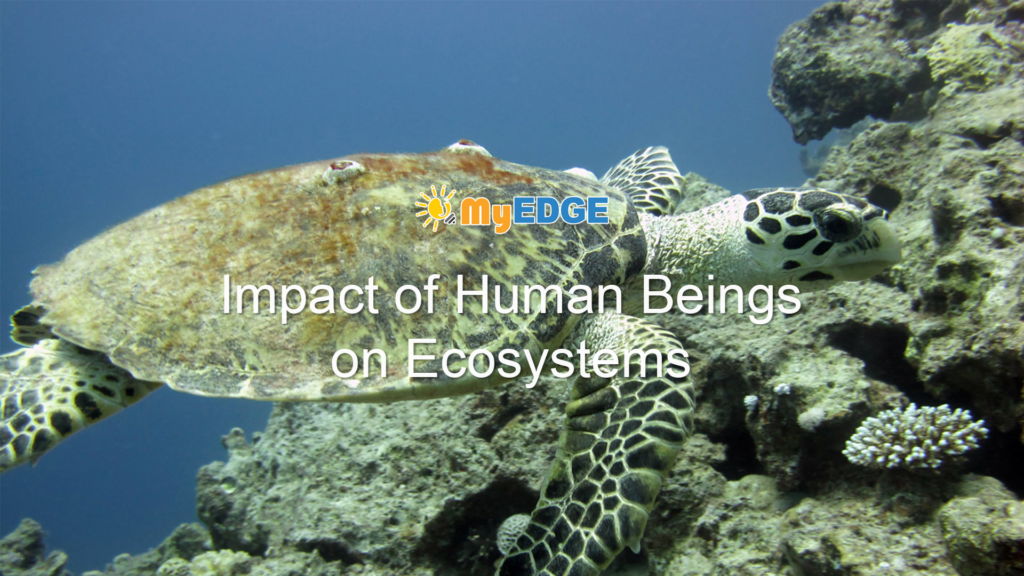 Impact of Human Beings on Ecosystems - Abiva Digital